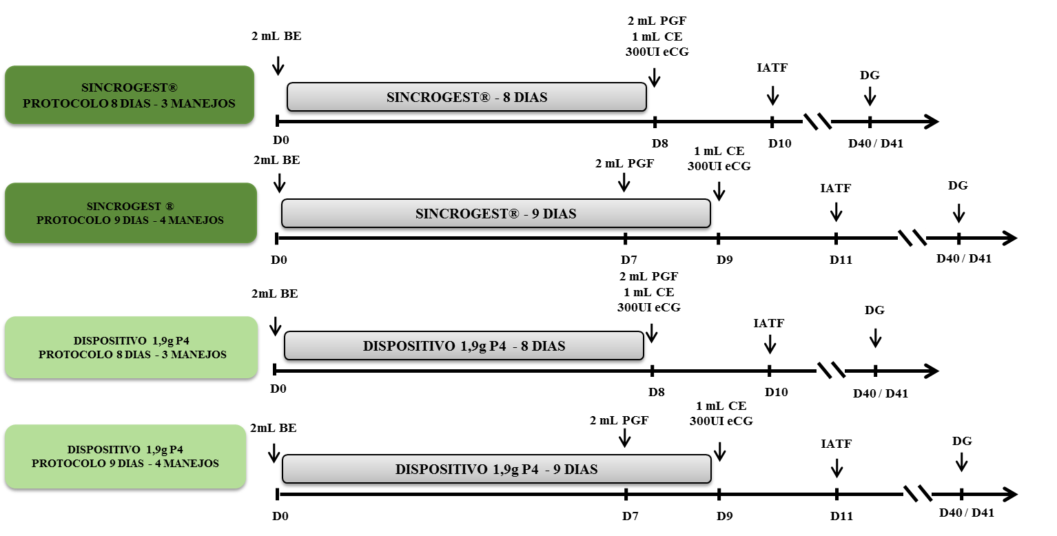 Protocolo Para Iatf Ouro Fino - BRAINCP
